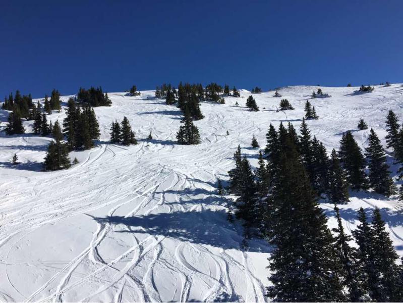 ImageUploadedByAlpineZone1451404352.377594.jpg | AlpineZone - Northeast Ski and Snowboard Forums