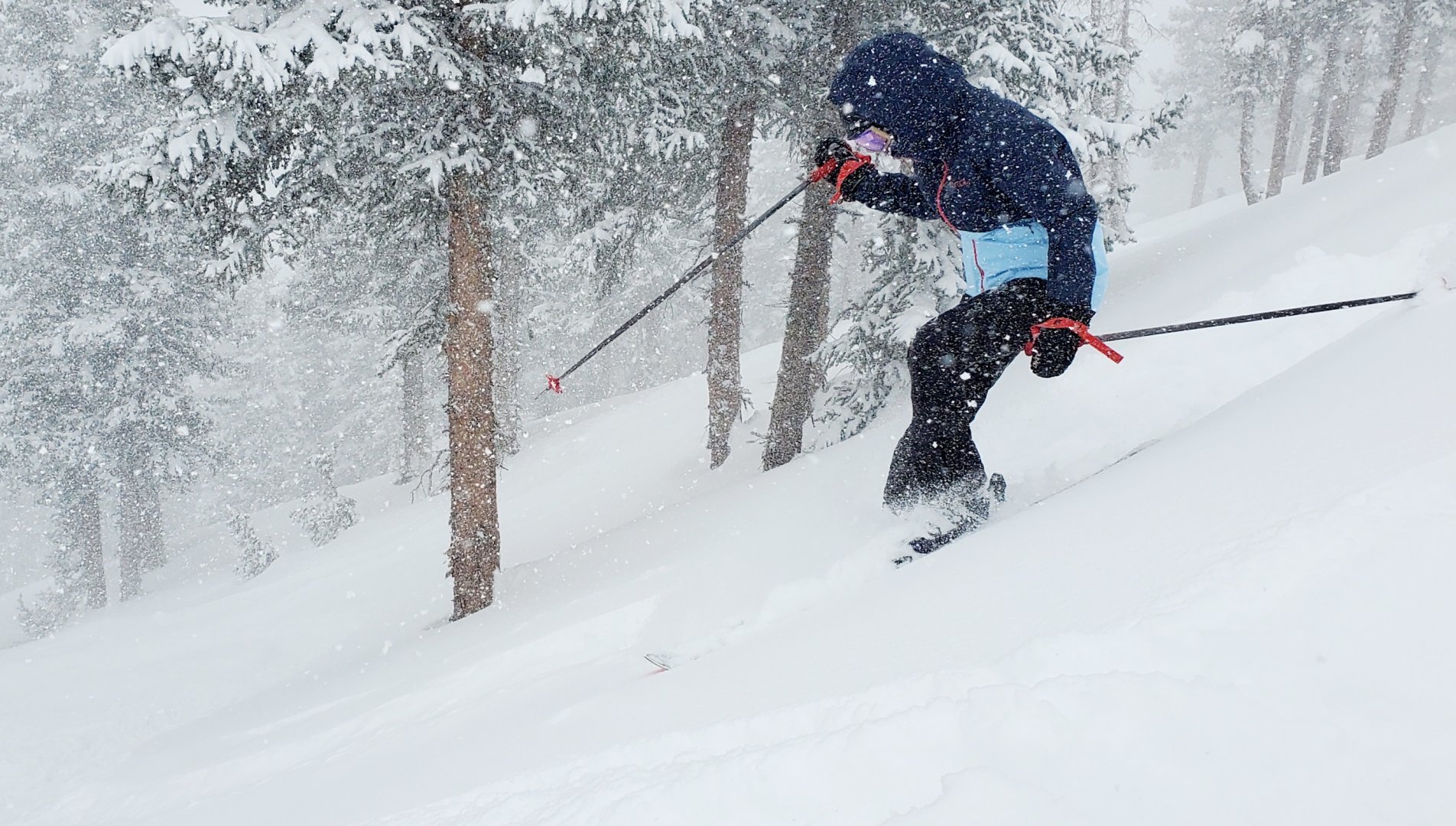 kim 1 apr 2025 alta.jpg | AlpineZone - Northeast Ski and Snowboard Forums