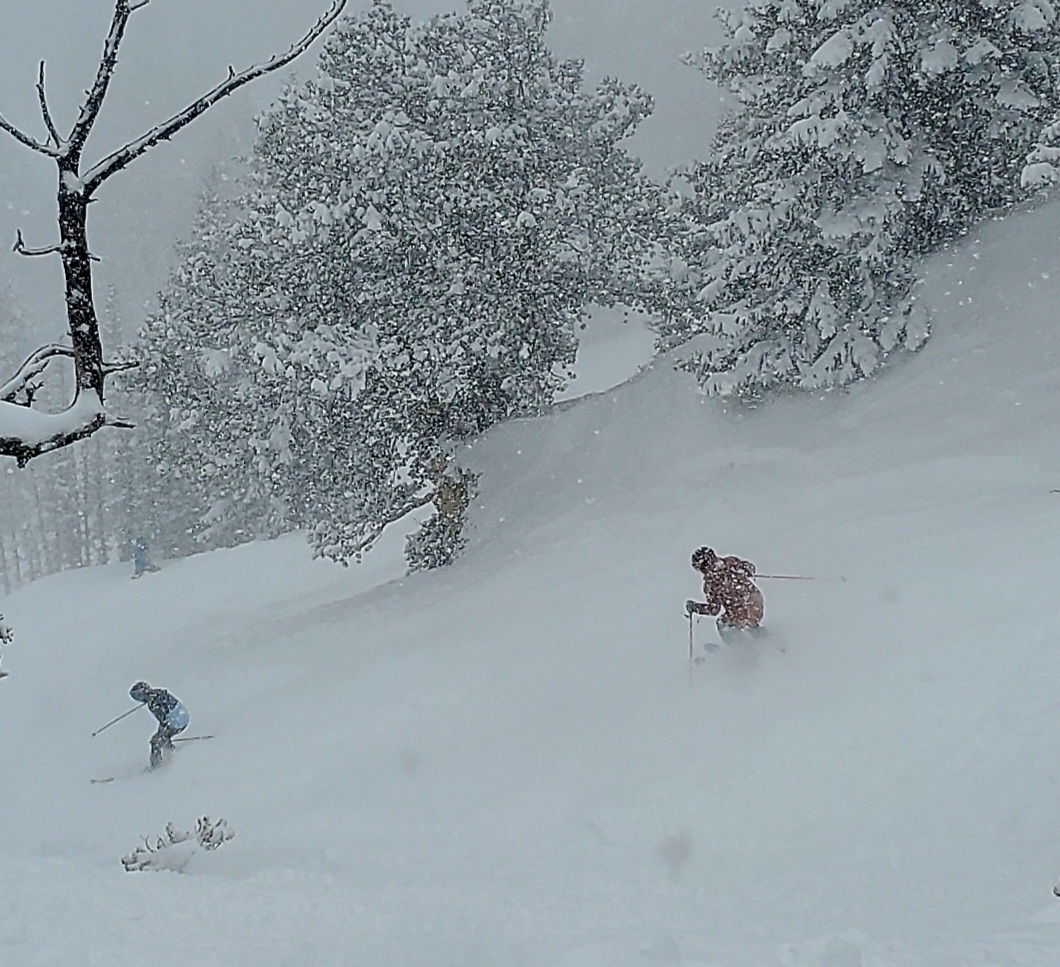 kim al 1 apr 2025 alta.jpg | AlpineZone - Northeast Ski and Snowboard Forums