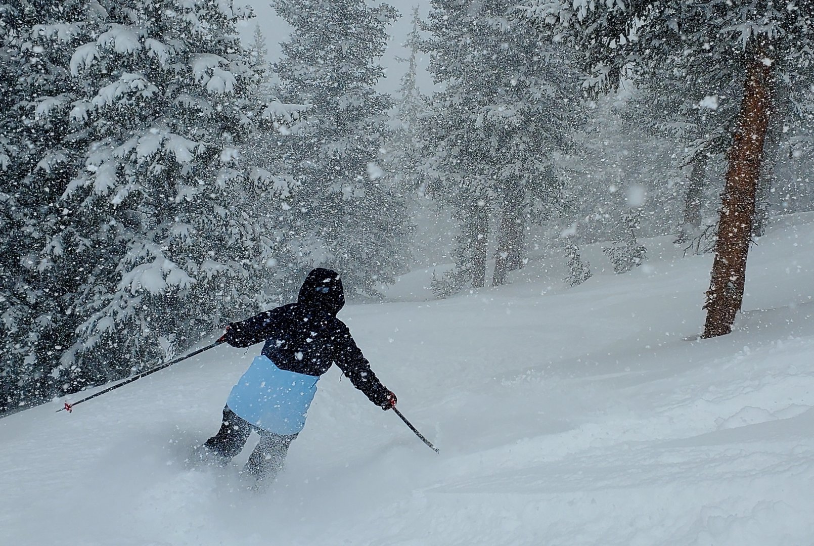 kim pow alta 1 apr 2025.jpg | AlpineZone - Northeast Ski and Snowboard Forums