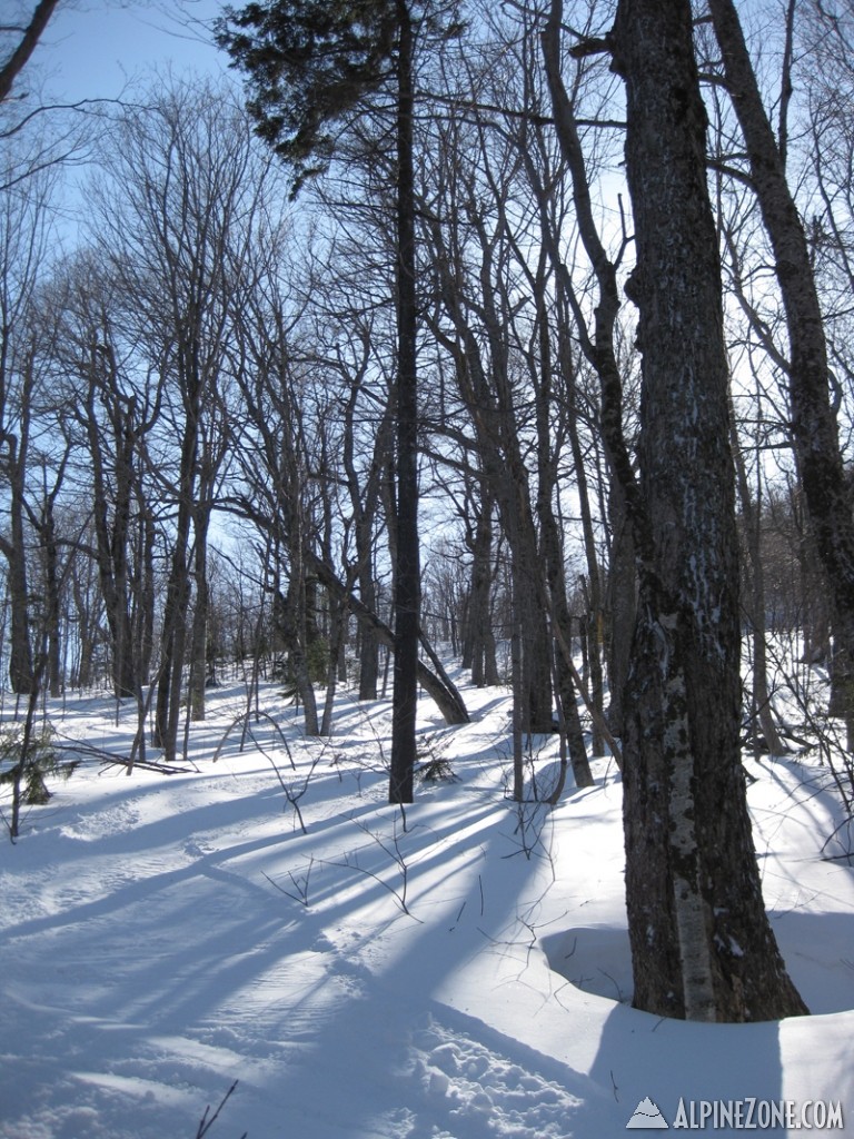 Picture_014 | AlpineZone - Northeast Ski and Snowboard Forums